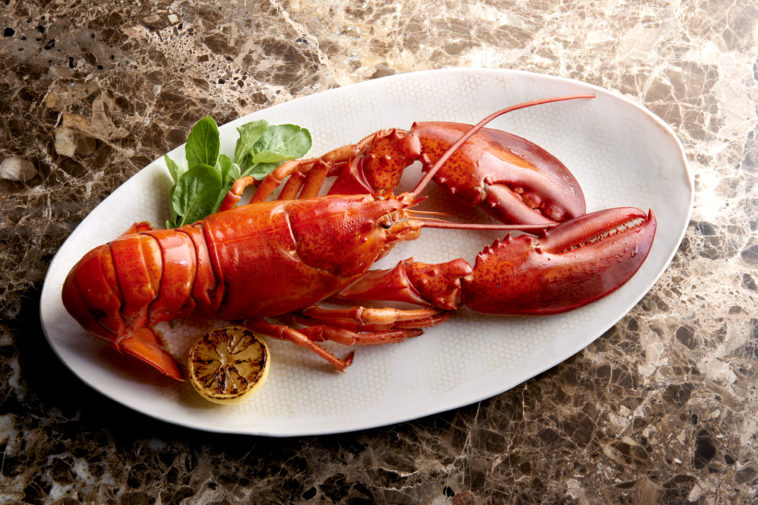 How old is a 2lb lobster?