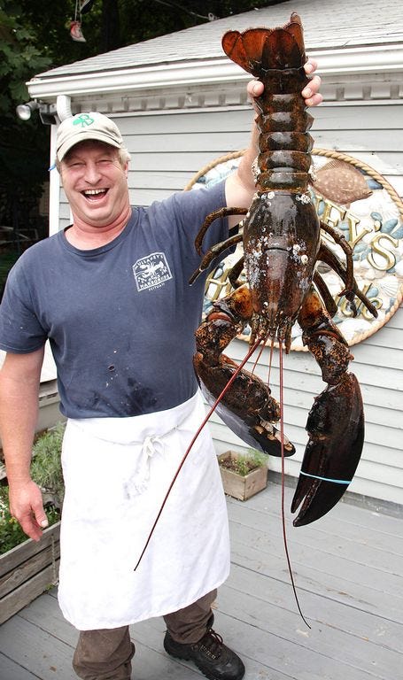 How old is an 18 pound lobster?