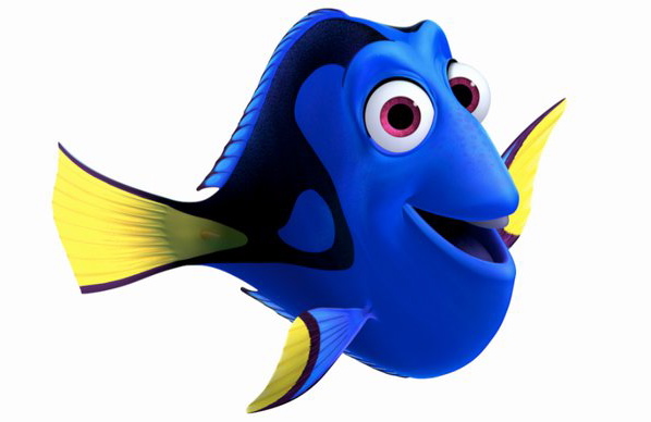 How old is Dory the fish?