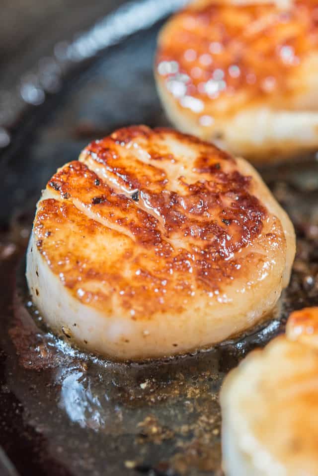 How should scallops be cooked?