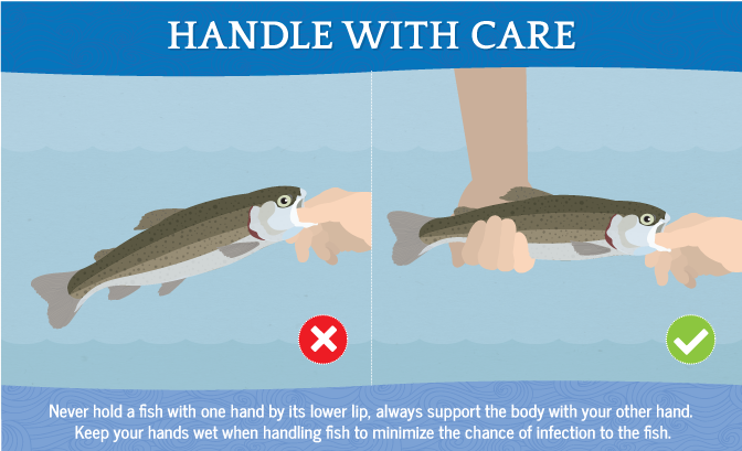 How should you handle fish once you catch them?