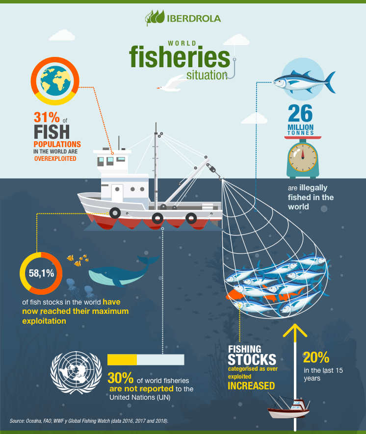 How sustainable is the fishery?