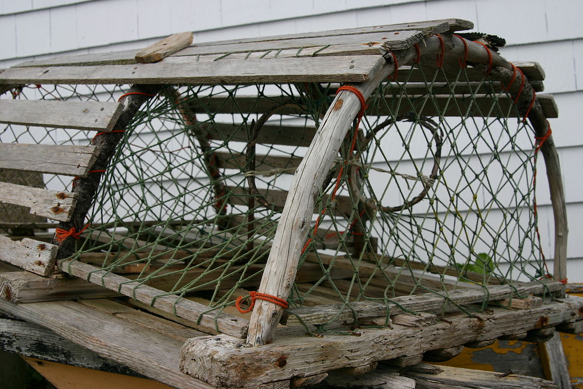 How tall is a lobster pot?