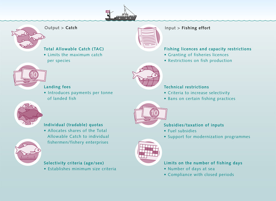 How the fisheries are managed?