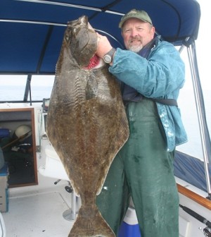 How to catch a halibut with a hook?