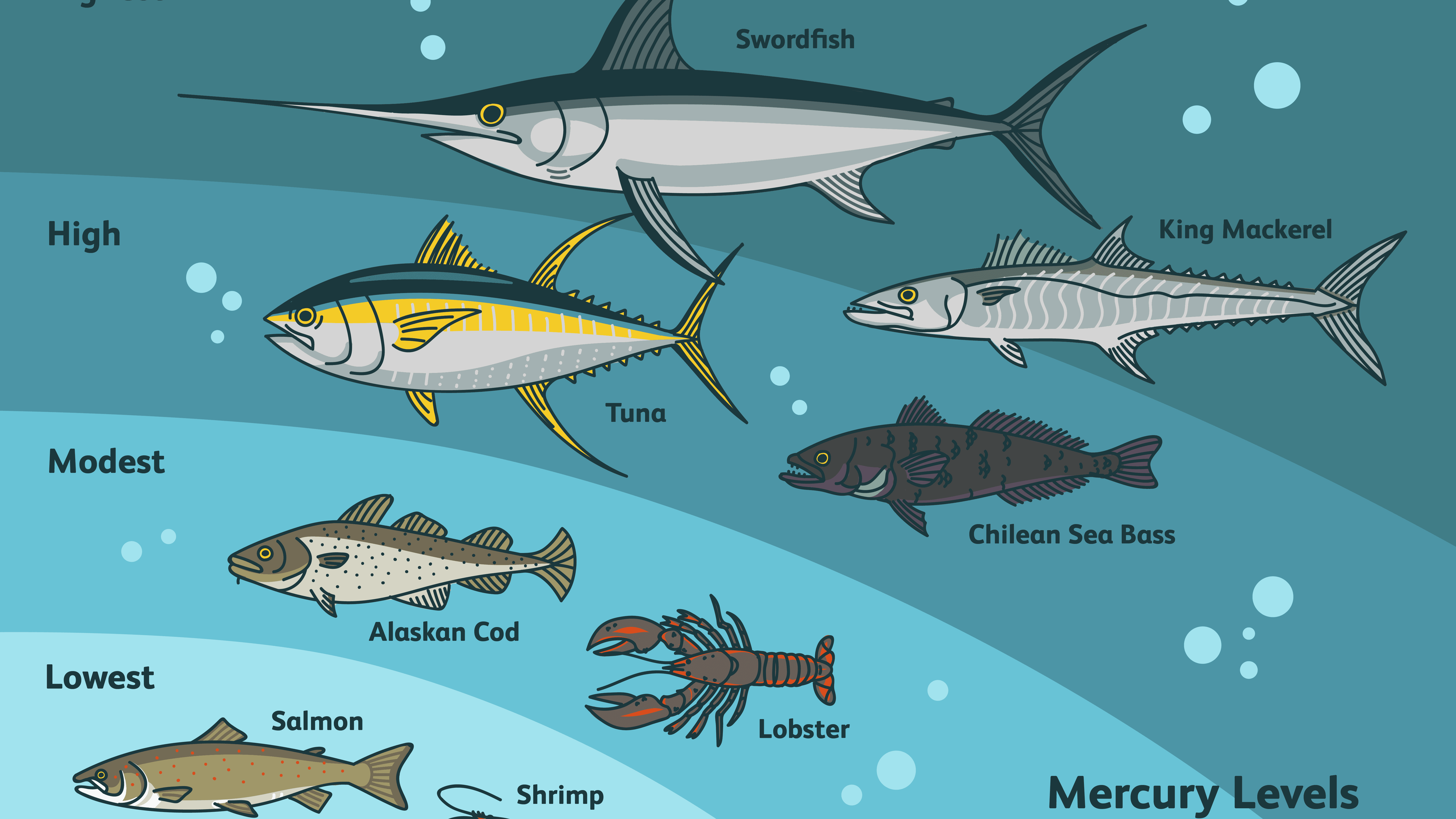 How to choose safe mercury levels in seafood?