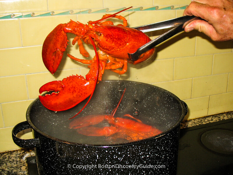How to cook a whole lobster in a boiling pot?