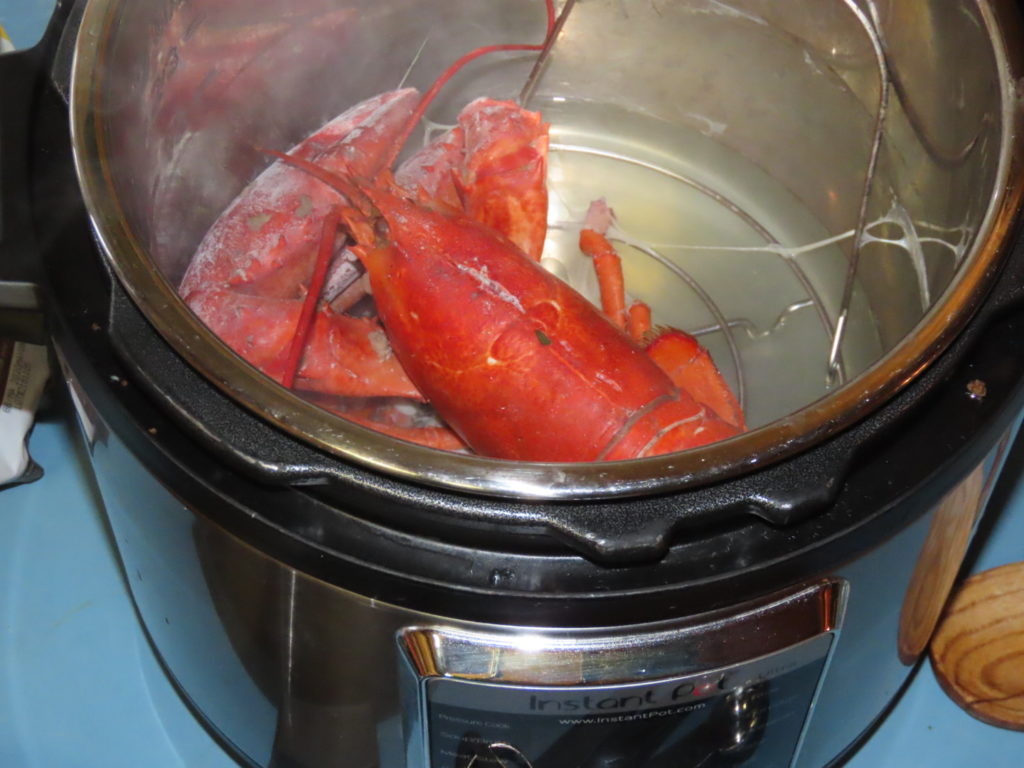 How to cook a whole lobster in a pot?