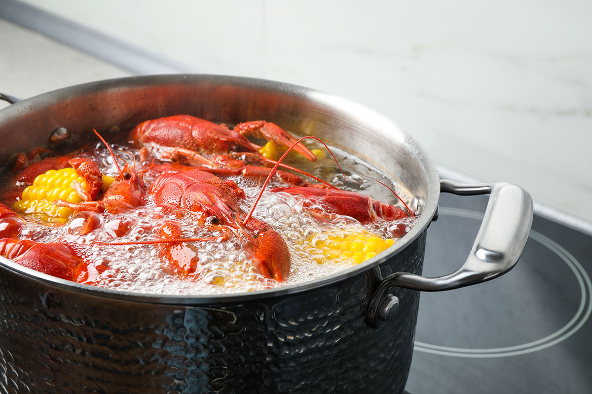 How to Cook Maine lobster in boiling water?