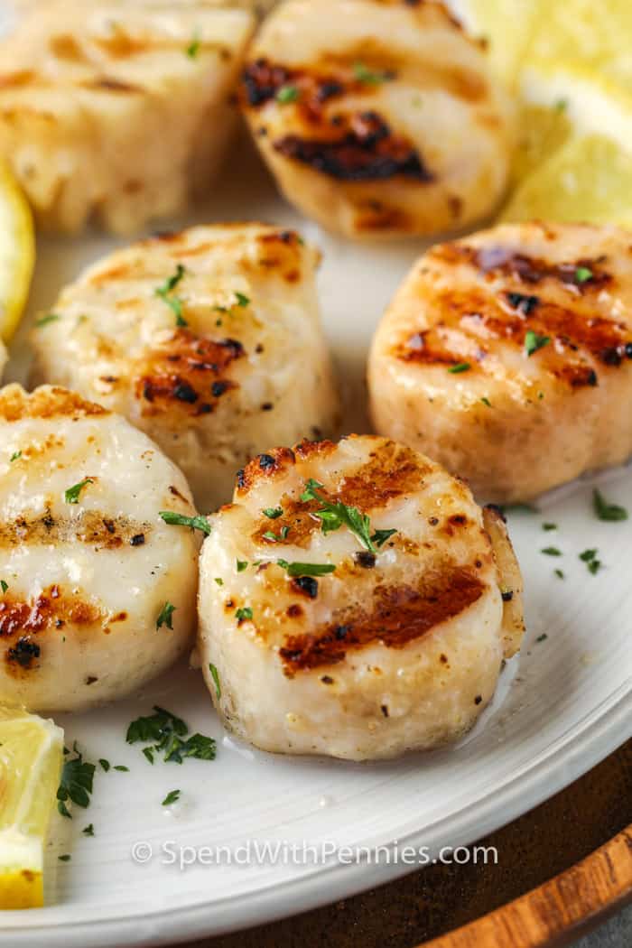 How to cook scallops on a gas grill?