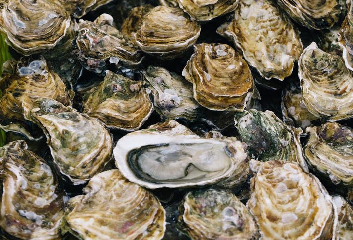 How to eat oysters like a pro?