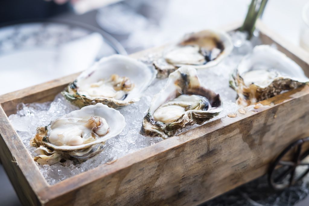 How to freeze oysters?