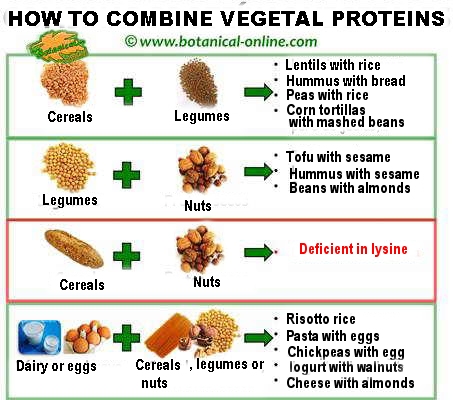 How to make complete vegetable proteins?