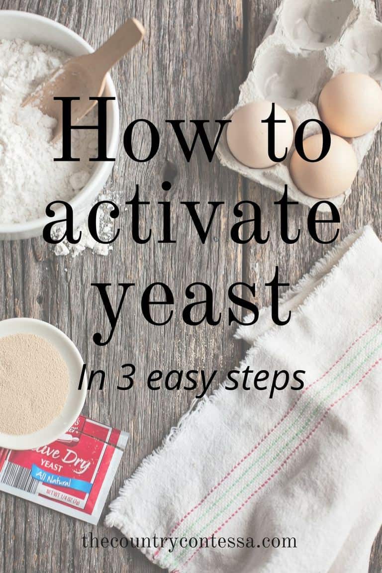 How to make yeast without a yeast package?