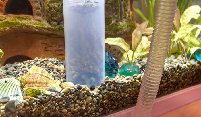 How to remove uneaten food from fish tank?