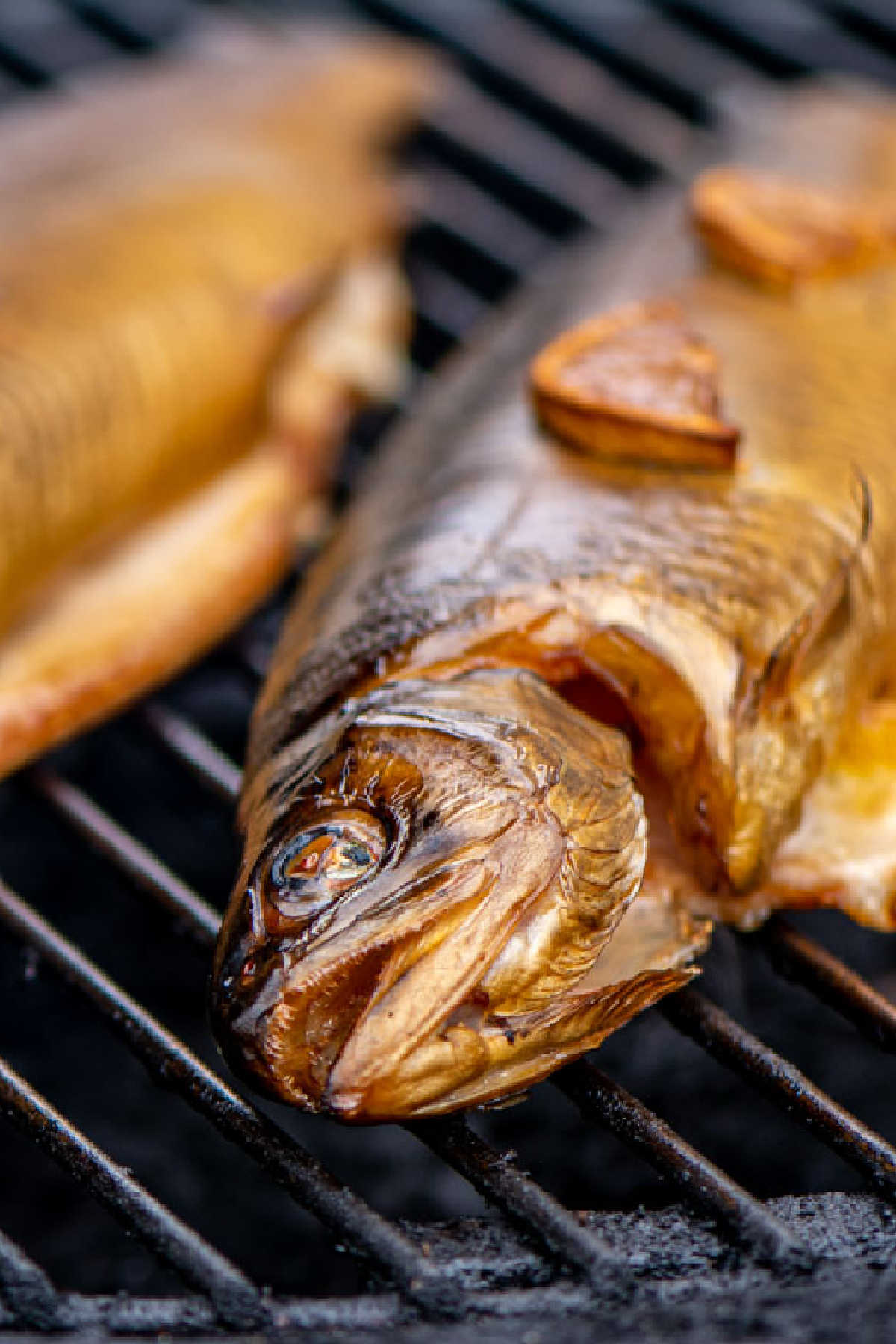How to smoke trout on a gas grill?