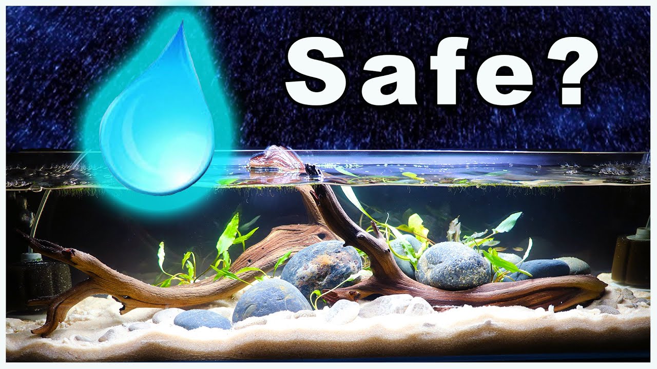 How to use rainwater for tropical fish?