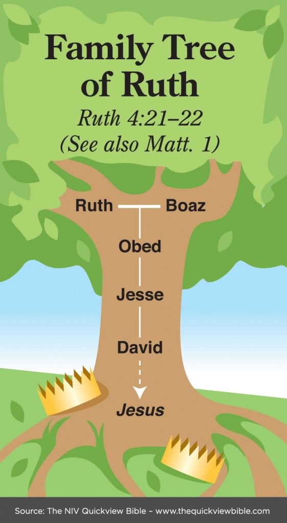 How was Ruth related to David in the Bible?