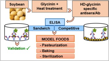 How will you test the presence of protein in soybean?