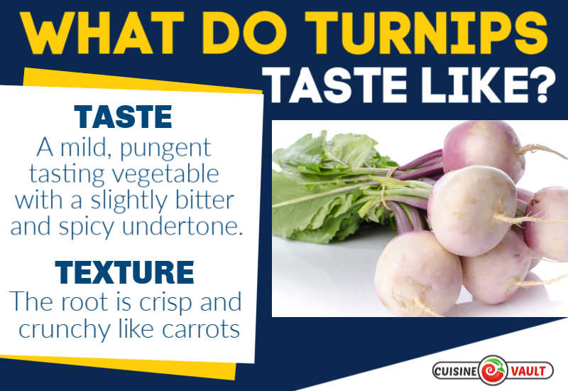 How would you describe the taste of a turnip?