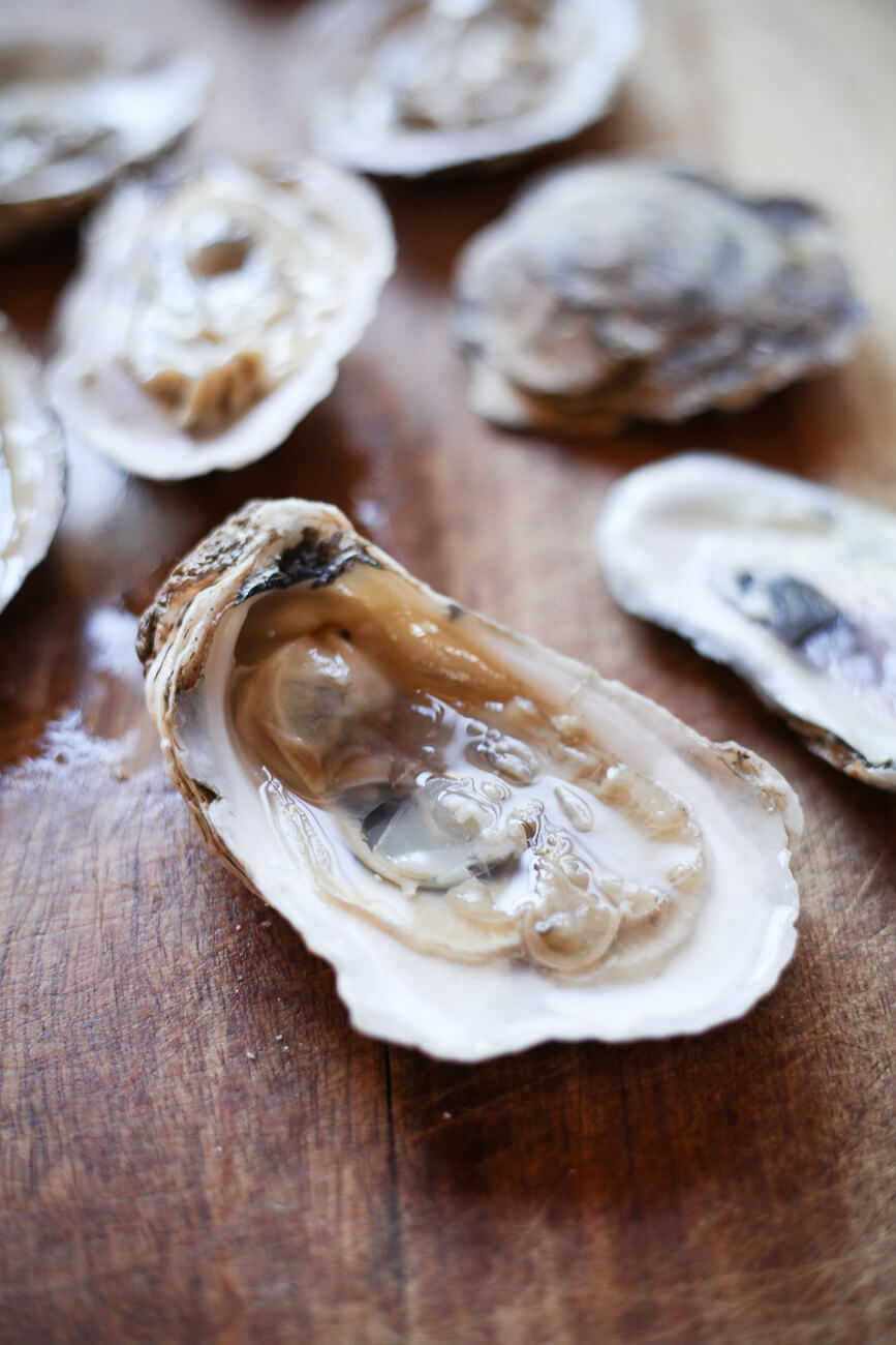 How would you describe the taste of shellfish?