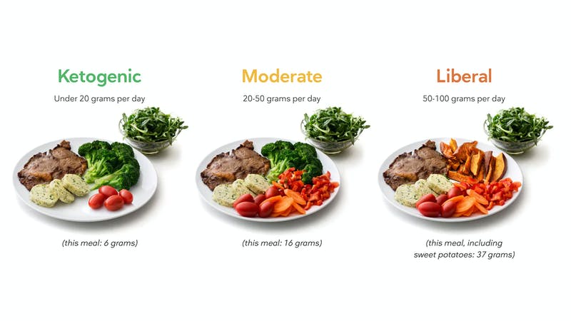 Is 100 carbs a day low carb?