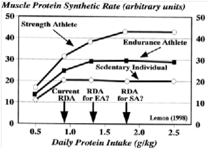 Is 1g of protein per kg enough to build muscle?