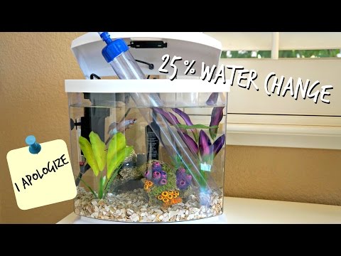 Is 20 percent water change too much?