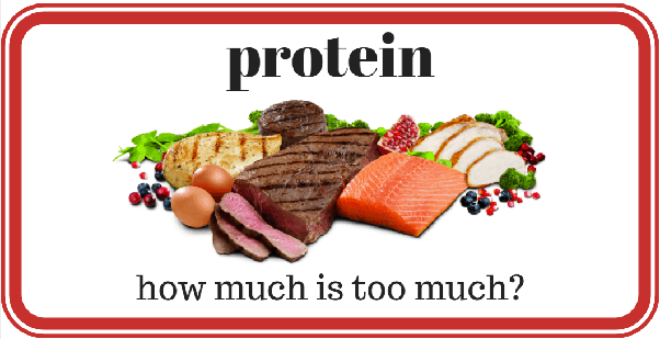 Is 400 grams of protein a day too much?