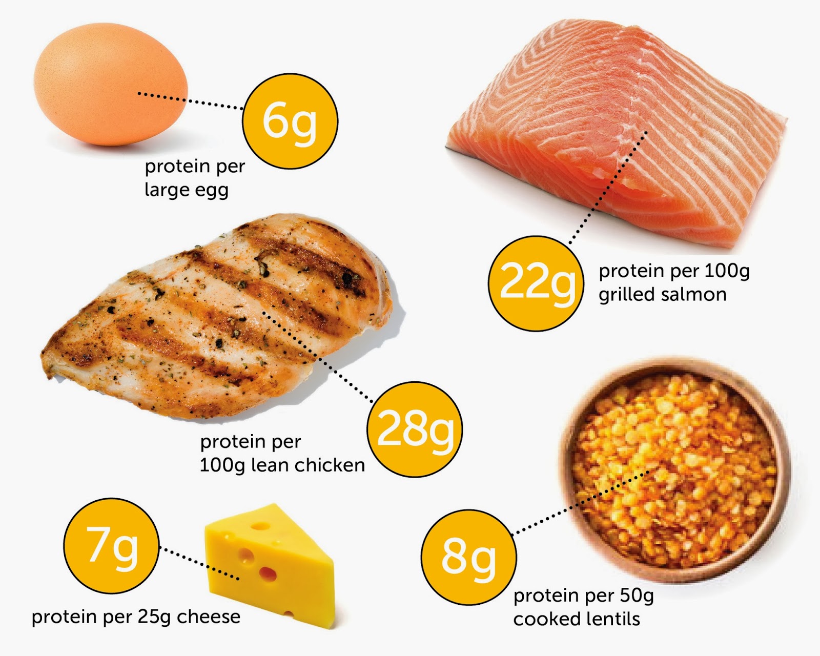 Is 70g of protein a lot?