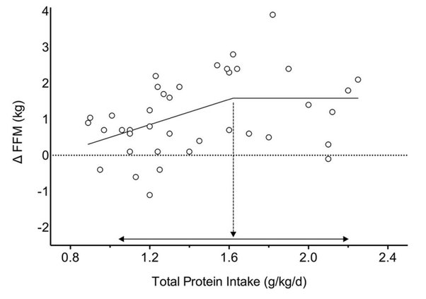 Is 80g protein enough to build muscle?