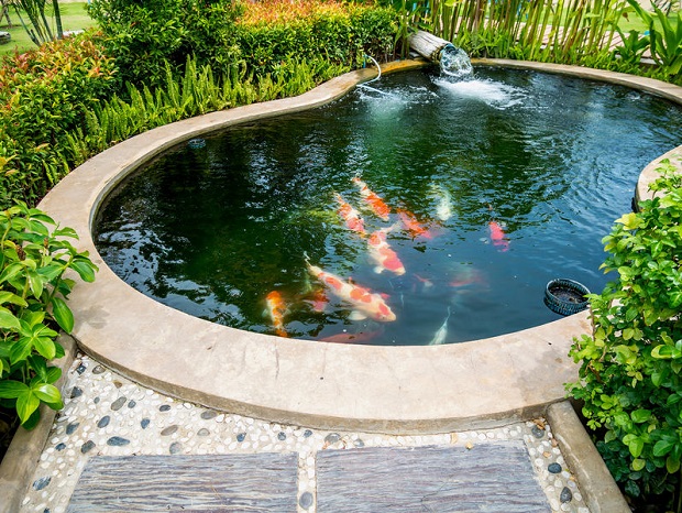 Is a fish pond high maintenance?