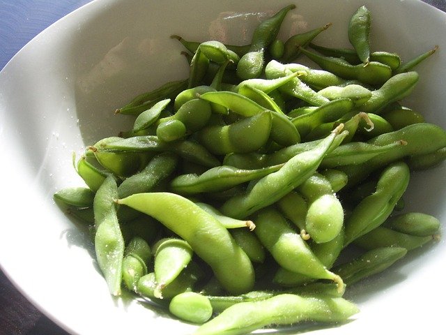 Is a green bean a soy bean?