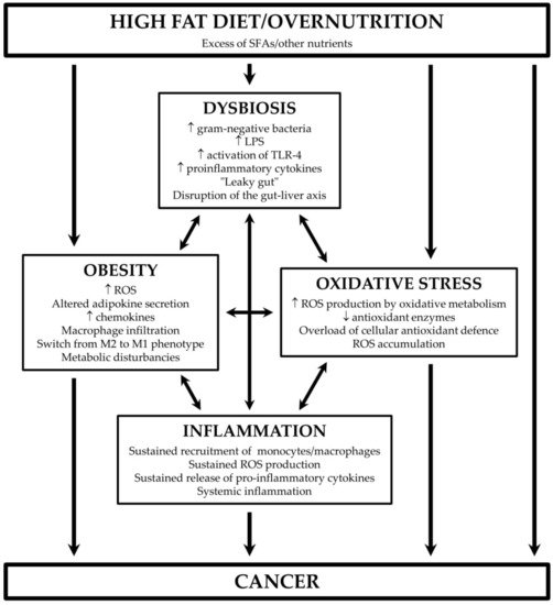 Is a high intake of fat associated with cancer?