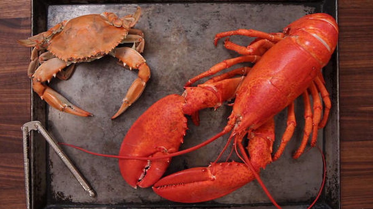 Is a lobster and a crab the same thing?