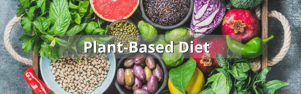 Is a plant-based diet good for a dialysis patient?