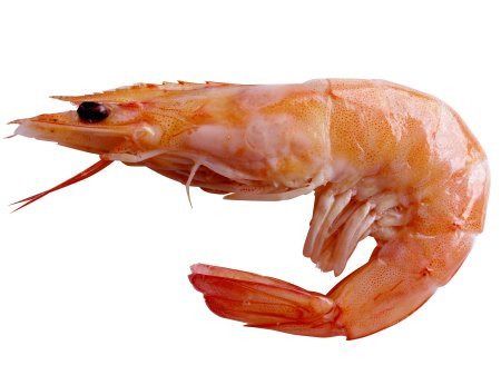 Is a prawn endoskeleton or exoskeleton?