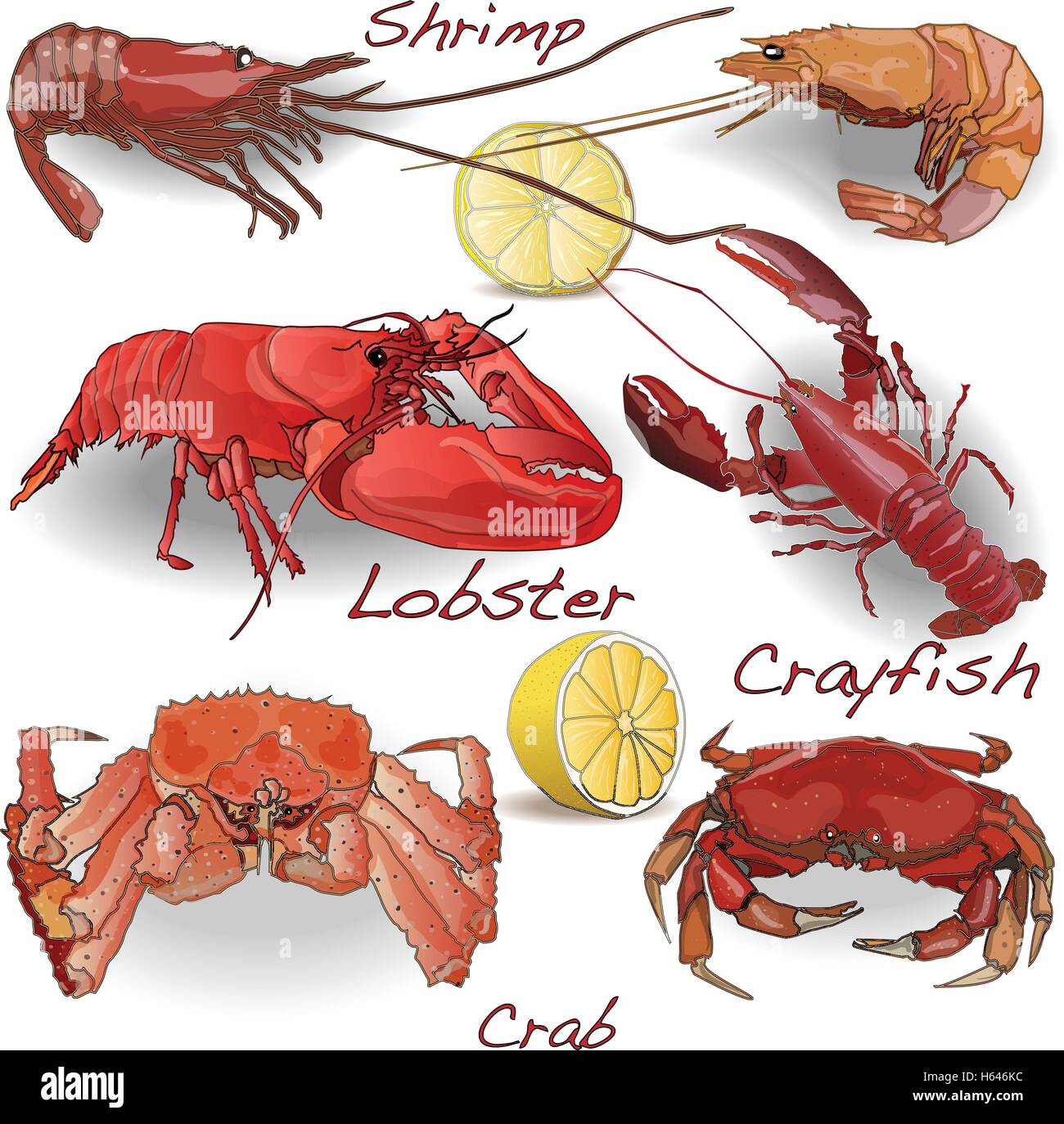 Is a shrimp a crab?