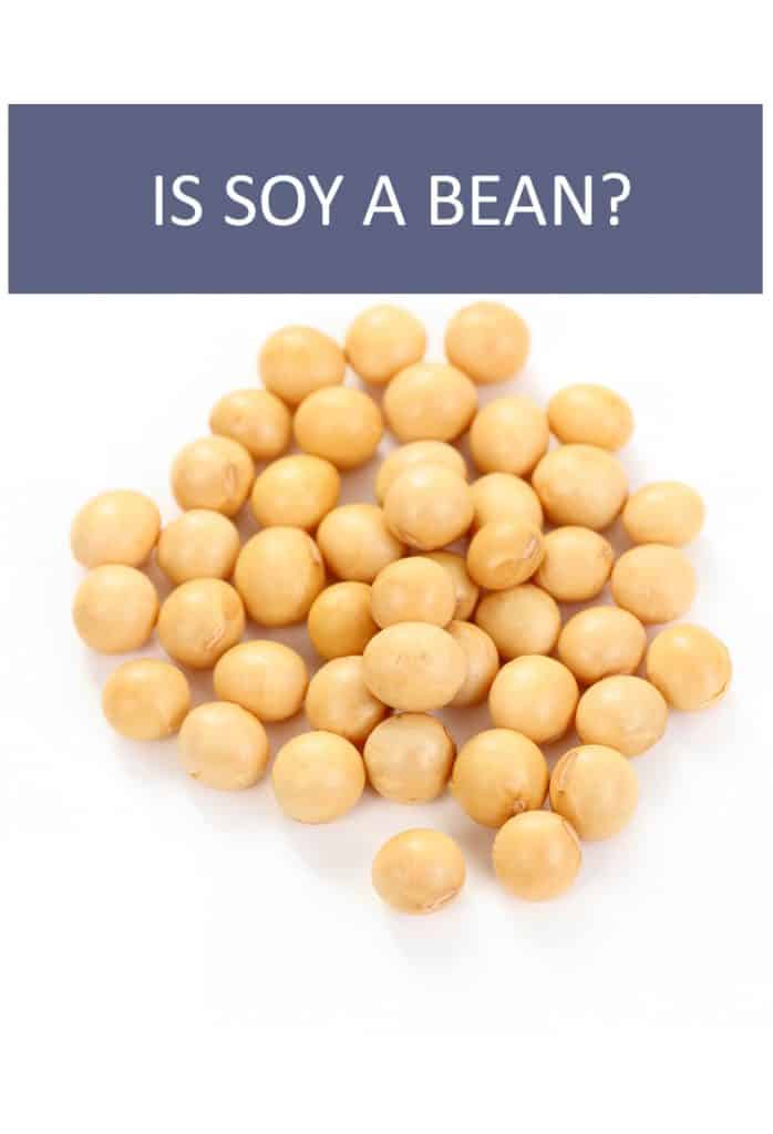 Is a soy bean a legume?