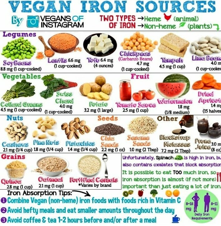 Is a vegan diet high in iron?
