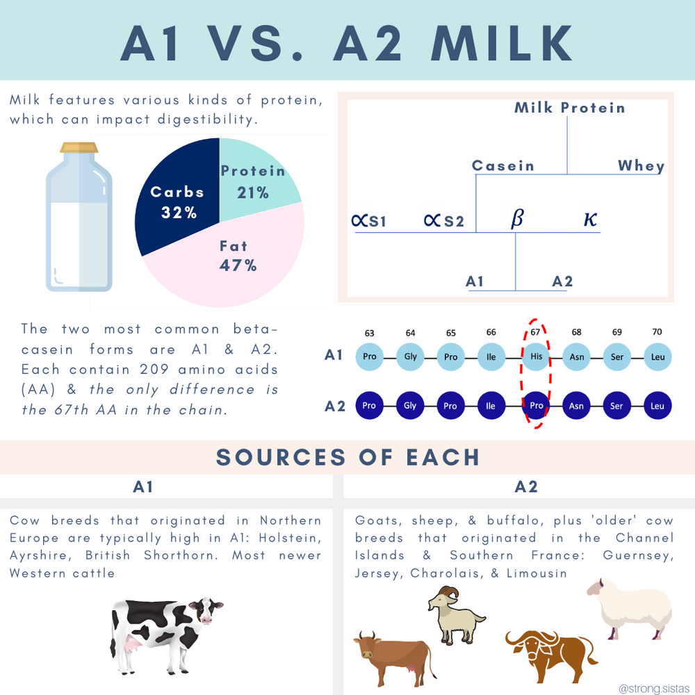 Is A2 milk healthier than regular milk?