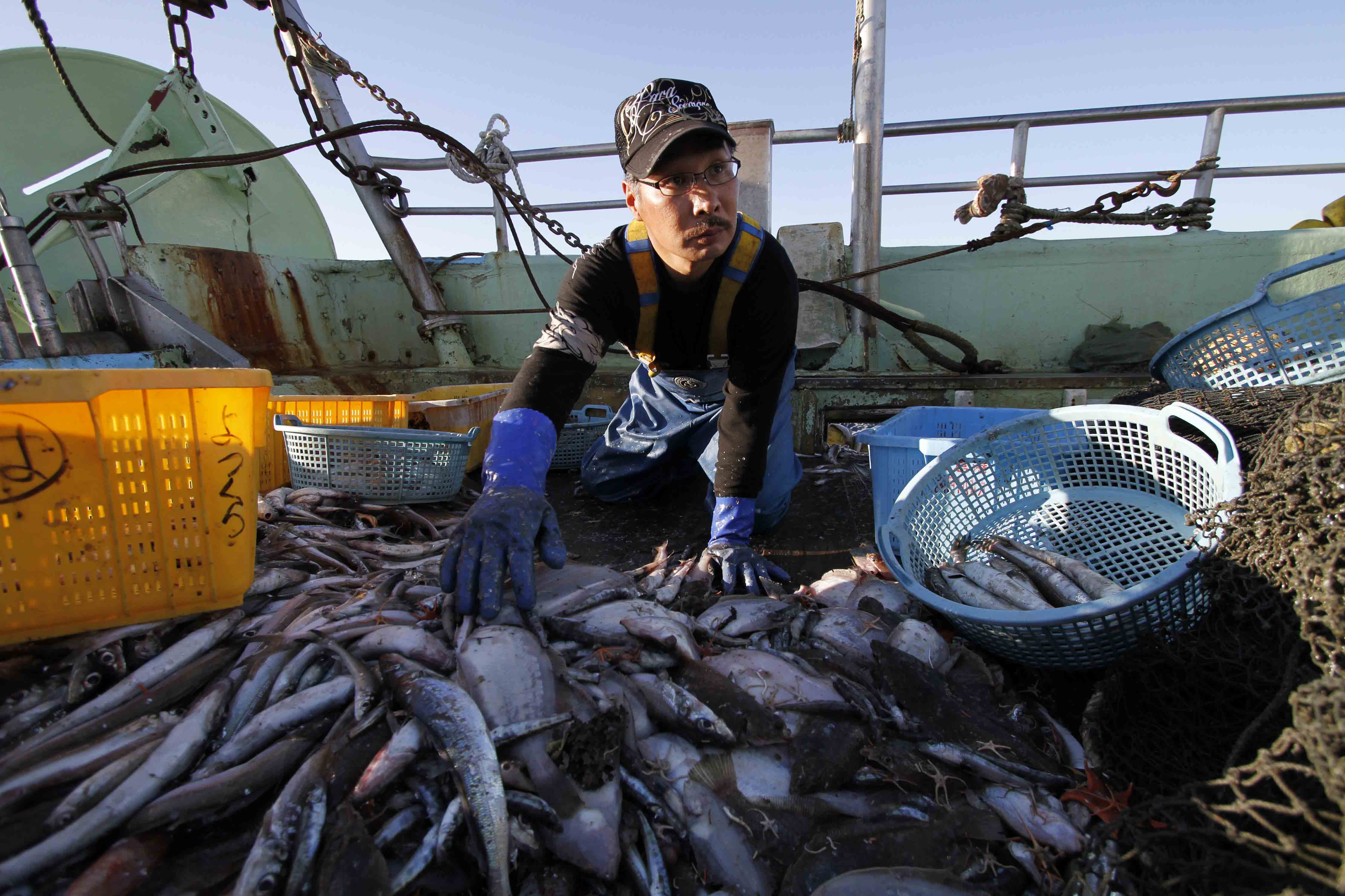 Is Alaskan fish contaminated?