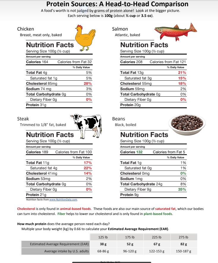 Is animal protein bad for cholesterol?