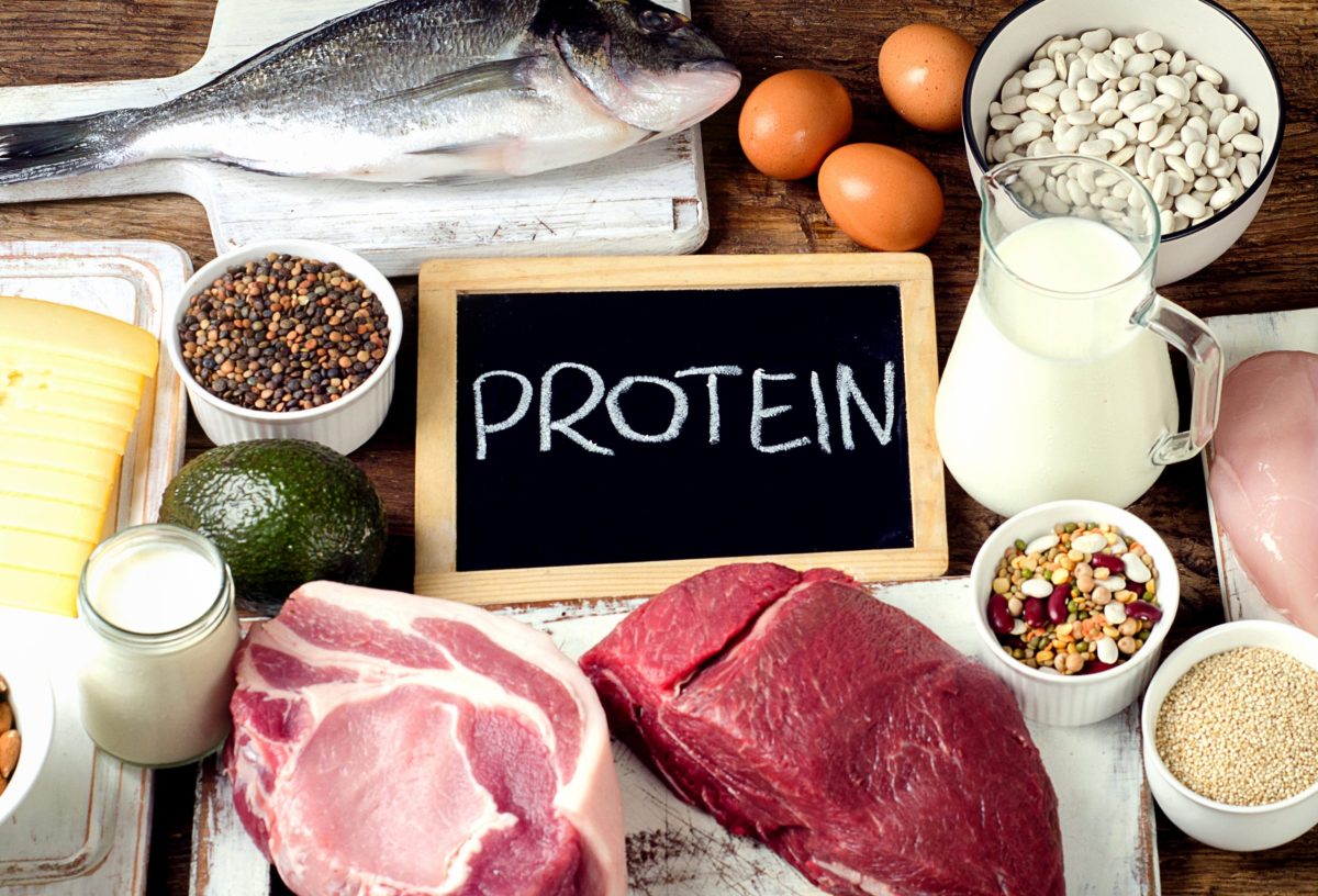 Is animal protein good for You?