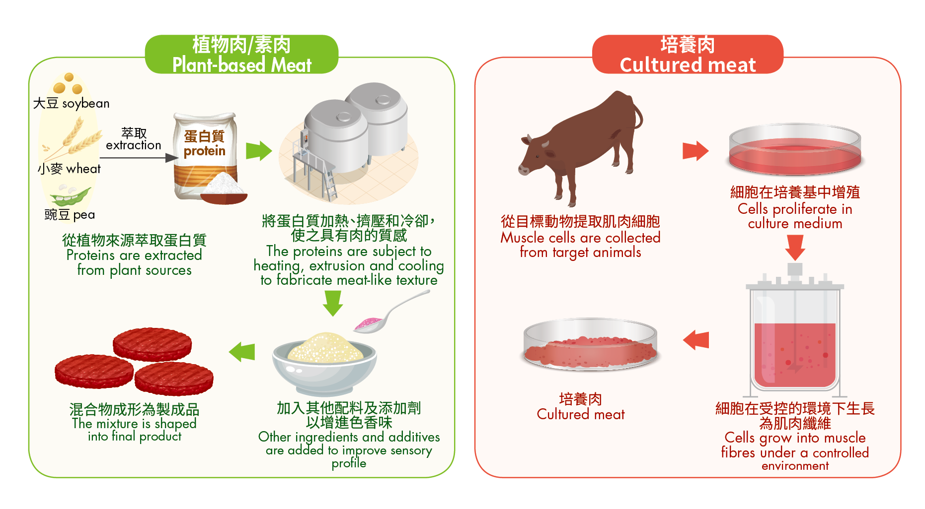 Is artificial meat healthy?