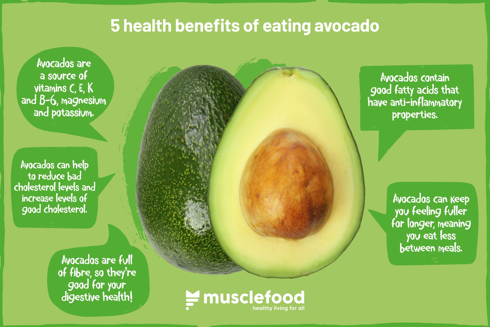 Is Avocado good for muscle repair?