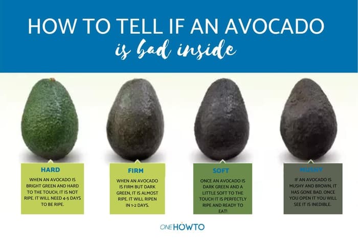 Is avocado good or bad for You?