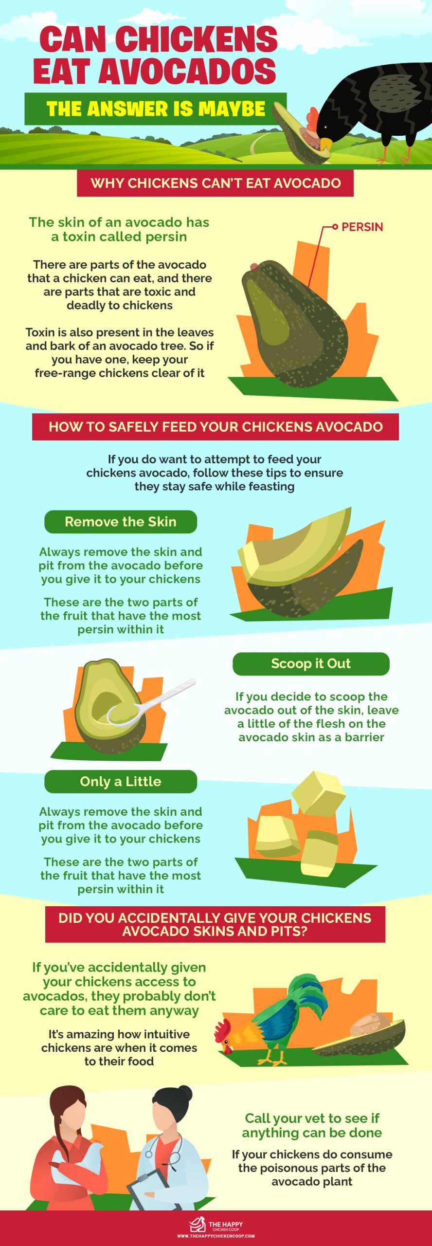 Is avocado poisonous to chickens?