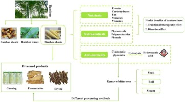 Is bamboo good for high blood pressure?