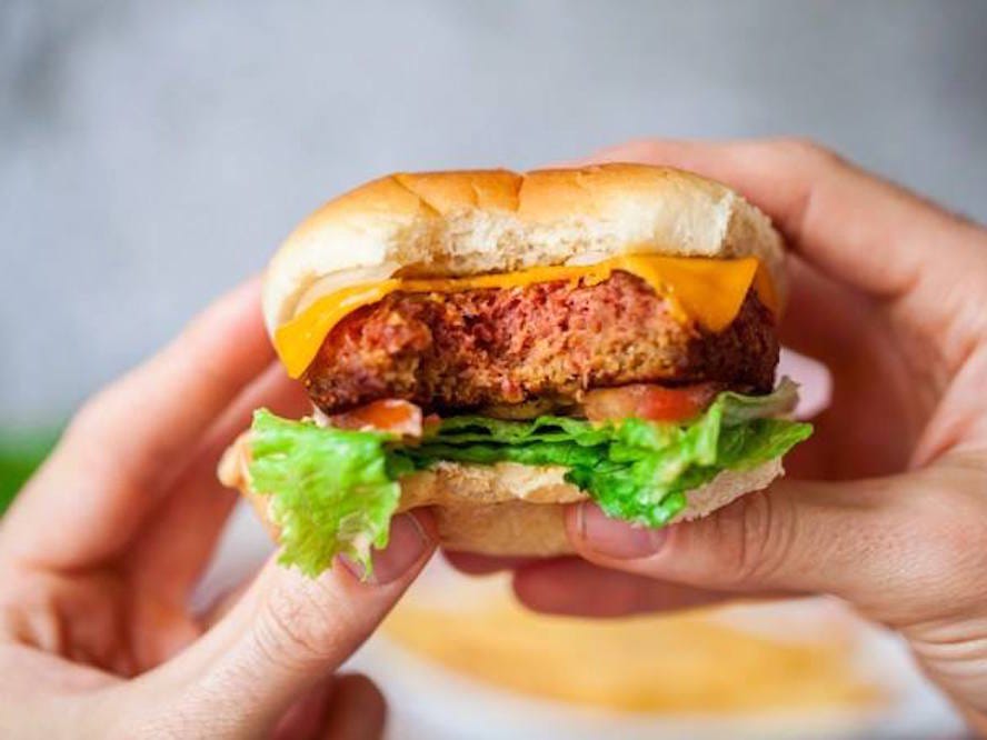 Is beyond meat considered processed food?